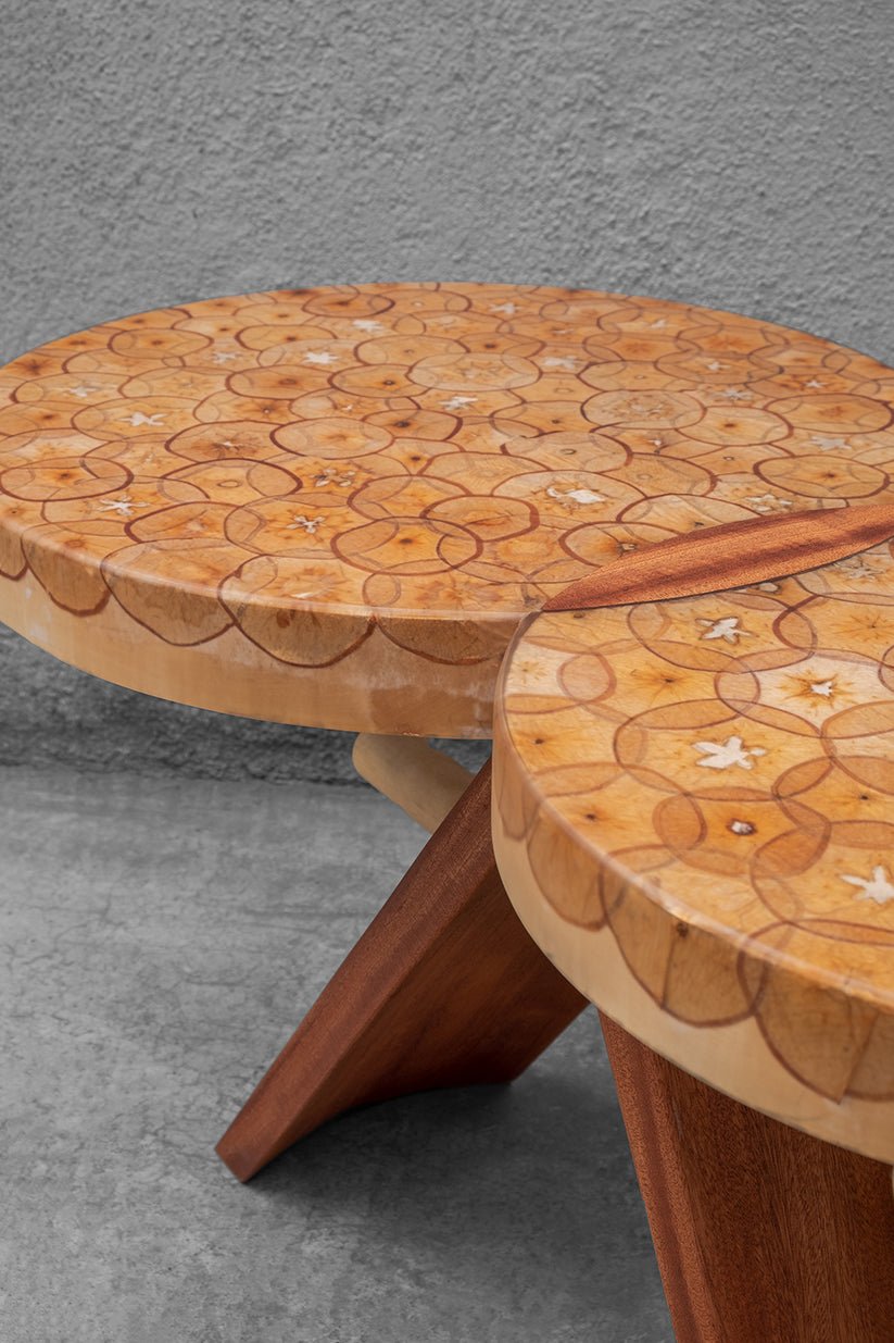 The Apple Table | Resin and Wood Furniture by SIDR